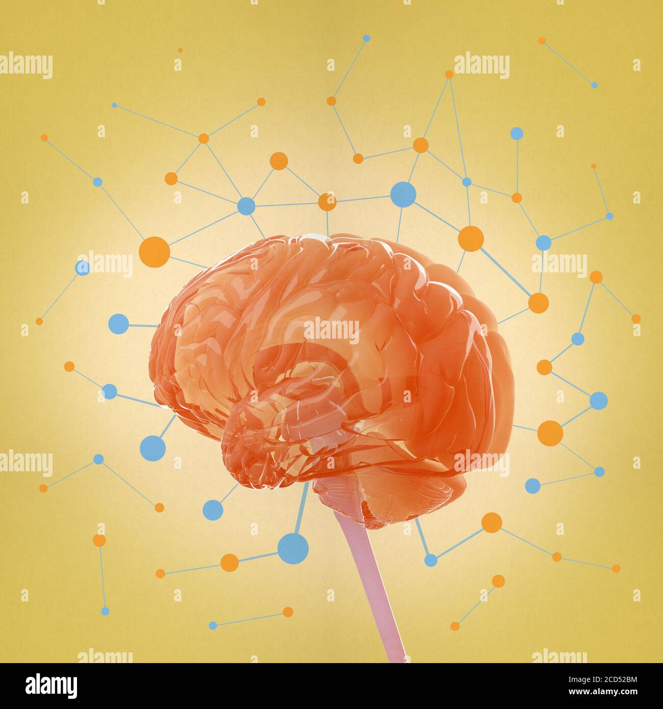 Anatomy illustration of human brain concept art 3D illustration Stock ...