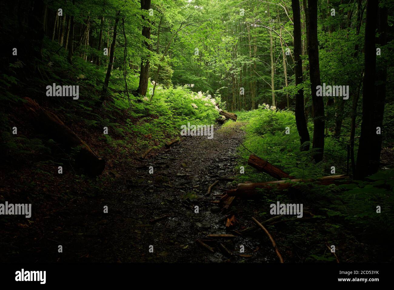 Contour pathway hi-res stock photography and images - Alamy