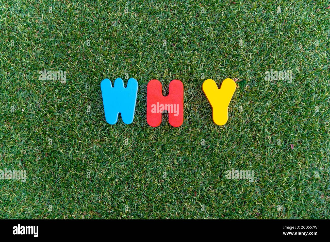 Capital letter "why" word from colorful of wood on grass background ...