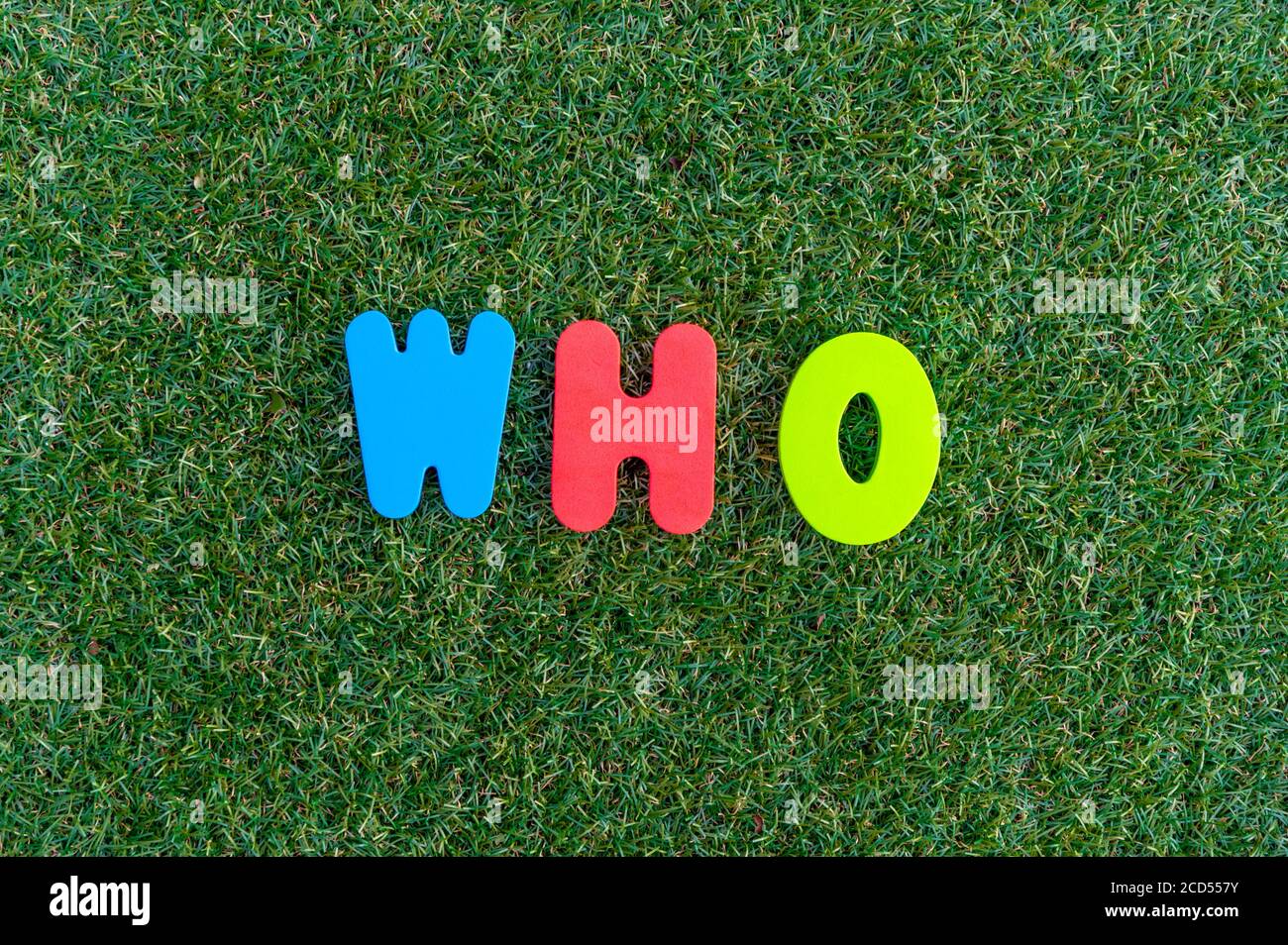 Capital letter "Who" word from colorful of wood on grass background ...