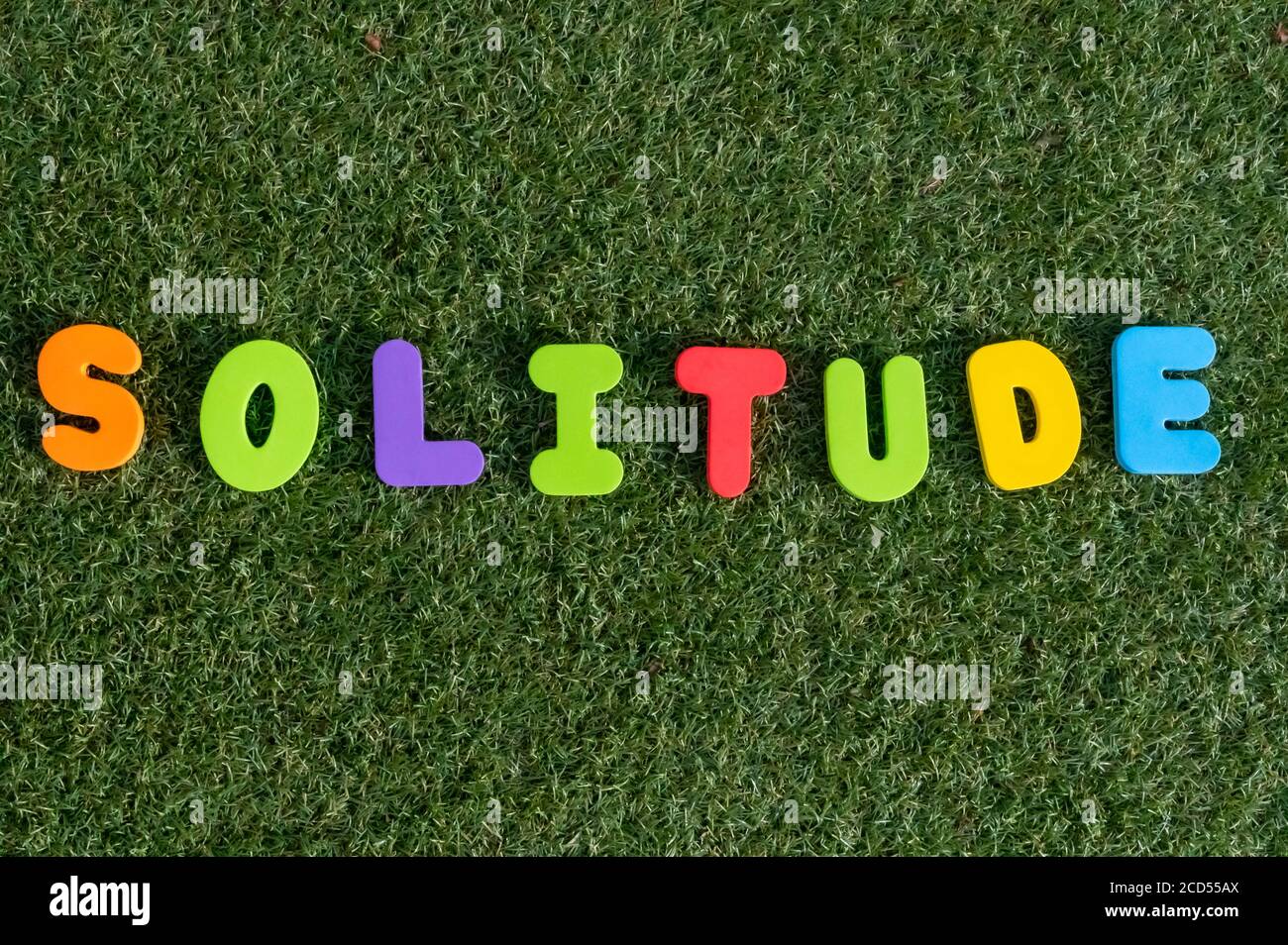 Capital letter "Solitude" word from colorful of wood on grass ...
