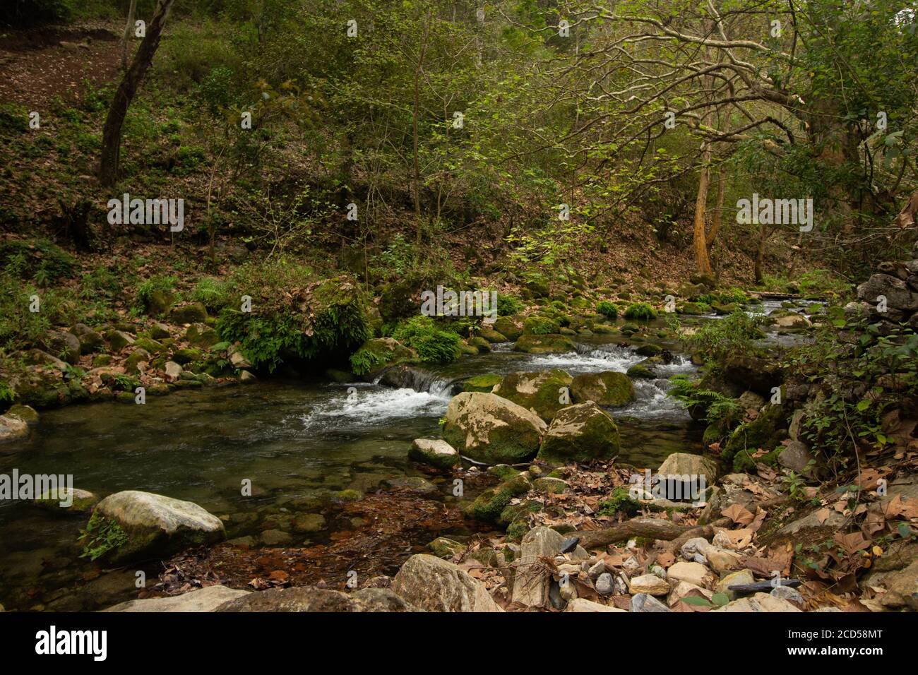Beautiful river at sierra gorda-Queretaro Stock Photo - Alamy