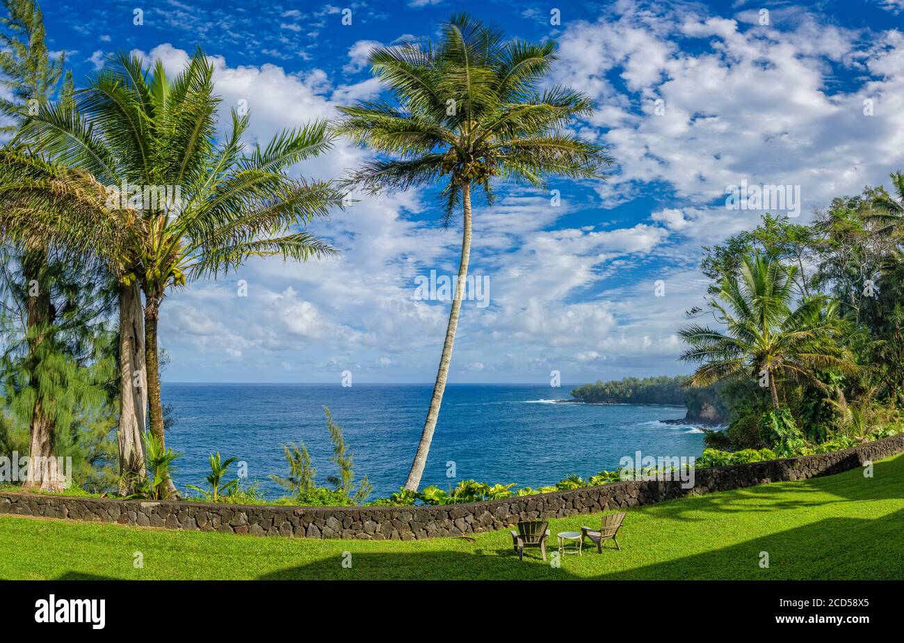 Landscape with palm trees on shore of Pukaumanu Bay in Honomu, Hawaii ...