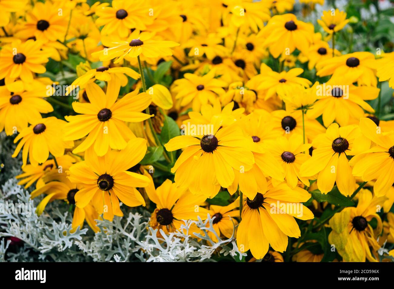 Point defiance park hi-res stock photography and images - Alamy