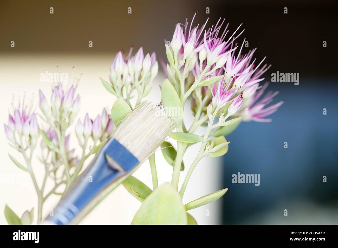 Wiping dust off hi-res stock photography and images - Alamy