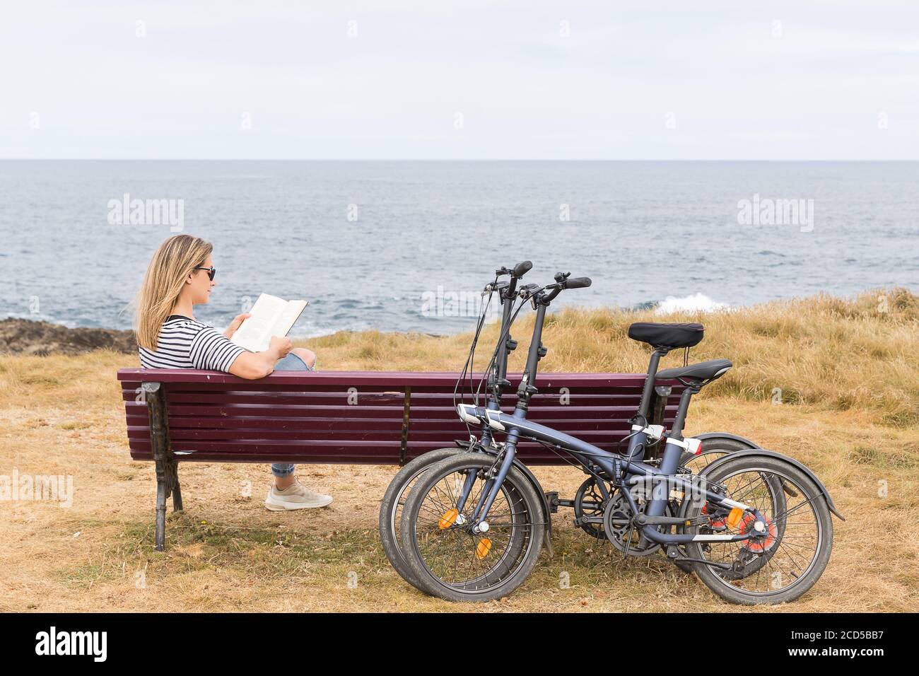 Woman sitting on a bench in front of the sea reading a book and two ...