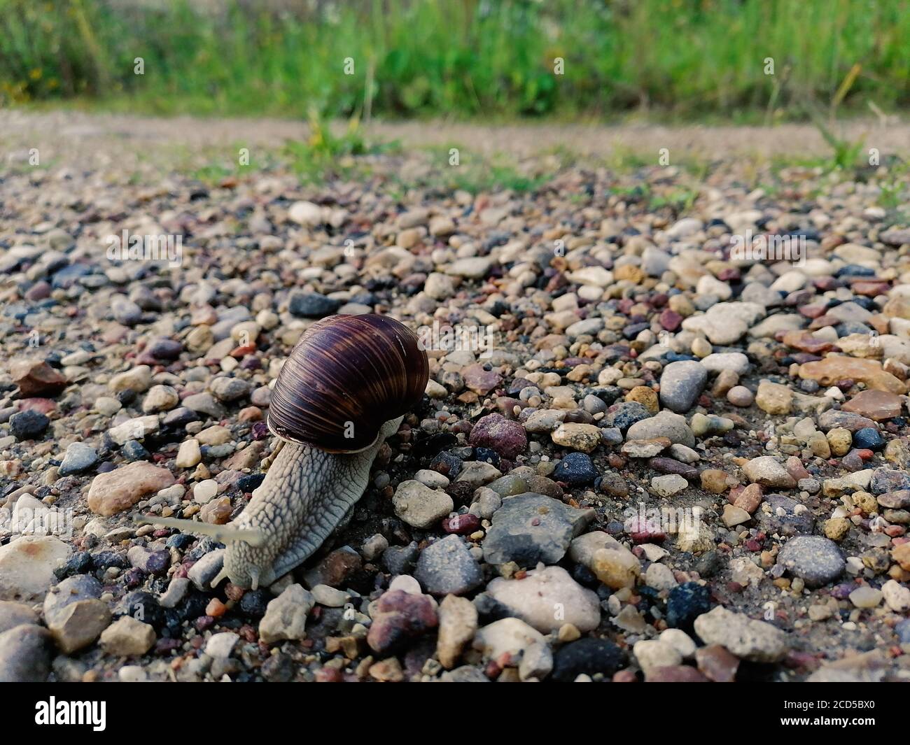 Low angle movement hi-res stock photography and images - Alamy