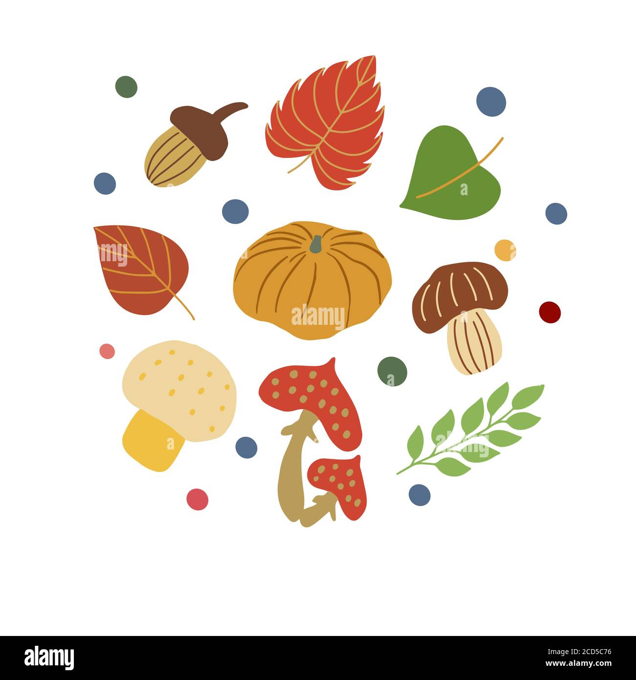 Set of autumn colorful leaves, mushrooms, acorns. Vector graphics on a ...