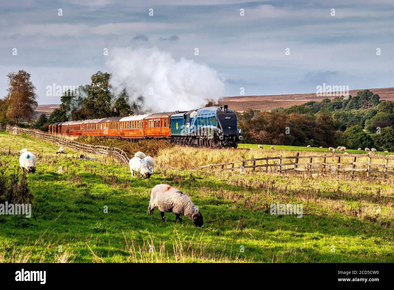 Nigel Gresley (A4 steam locomotive) NYMR Stock Photo - Alamy