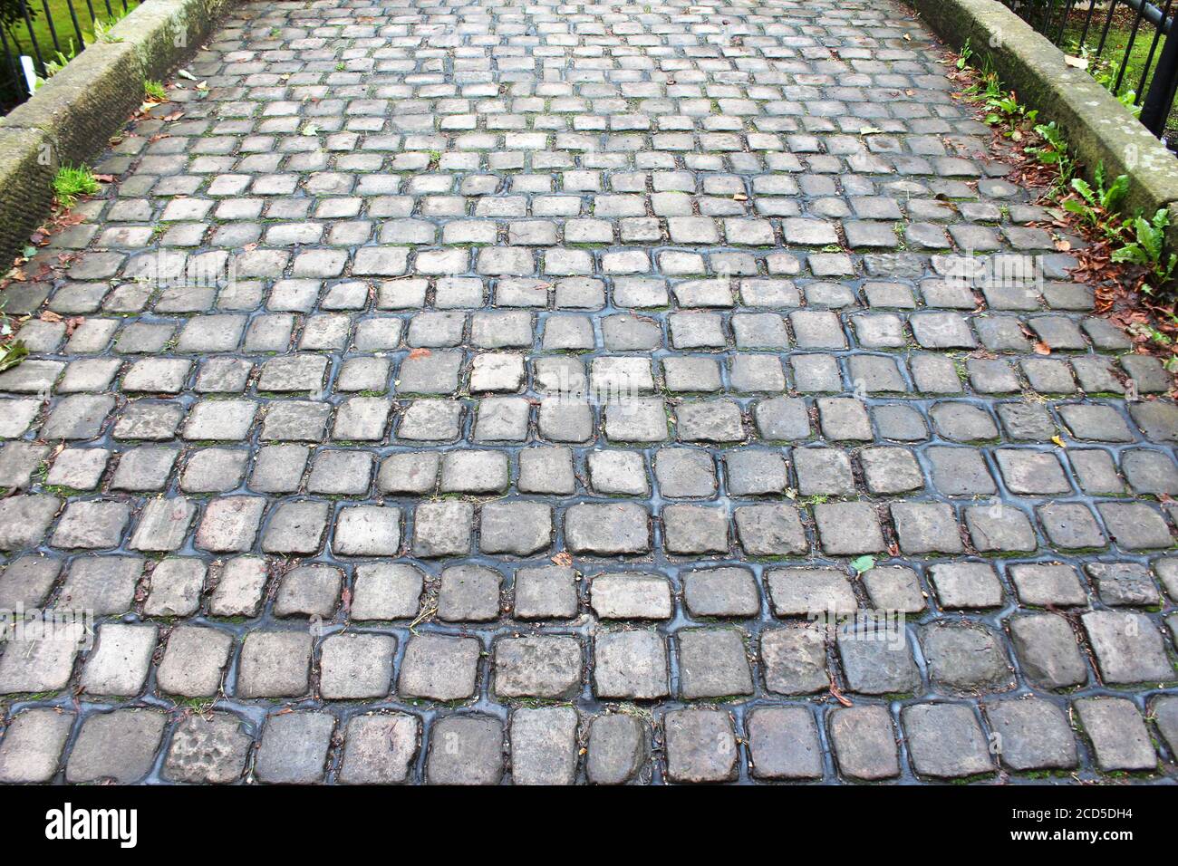 Cobblestone Pathways