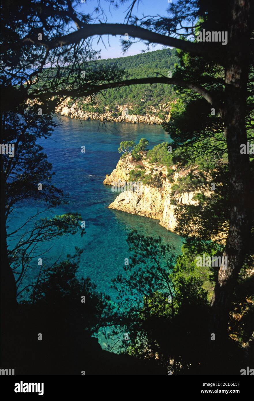Calanque of Port d'Alon St Cyr les Leques Stock Photo - Alamy
