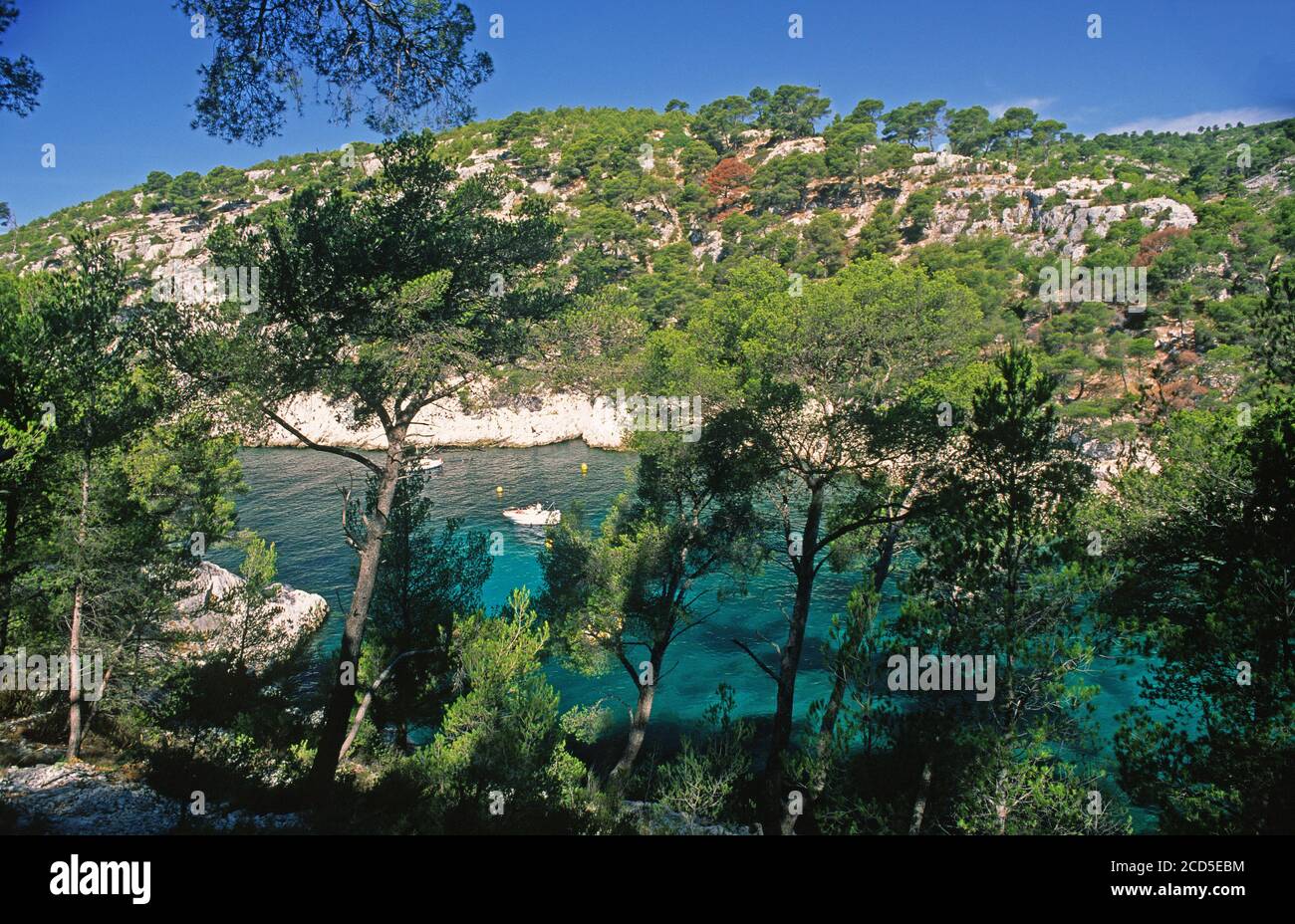 Calanque of Port Pin Cassis Stock Photo - Alamy