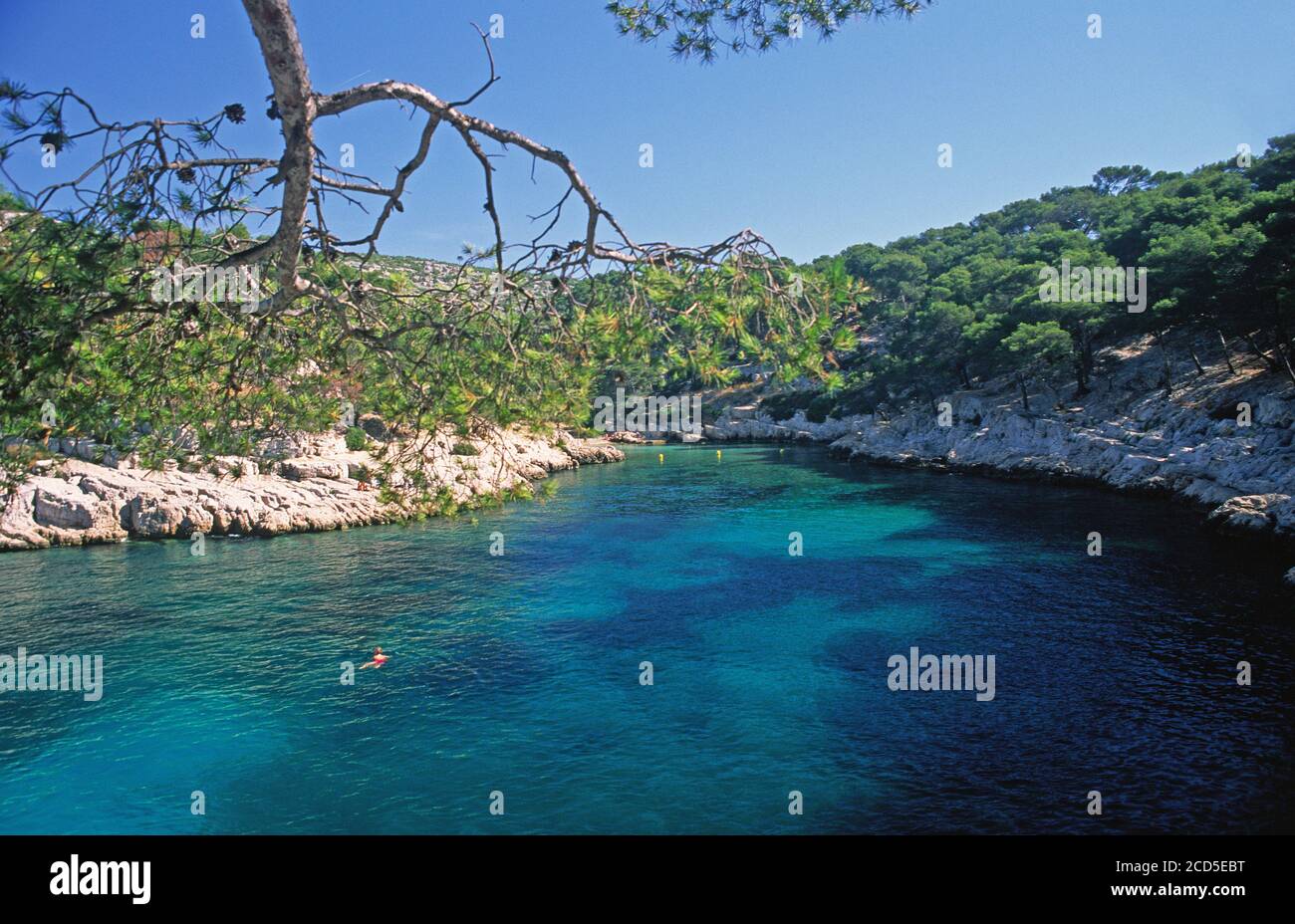 Calanque of Port Pin Cassis Stock Photo - Alamy