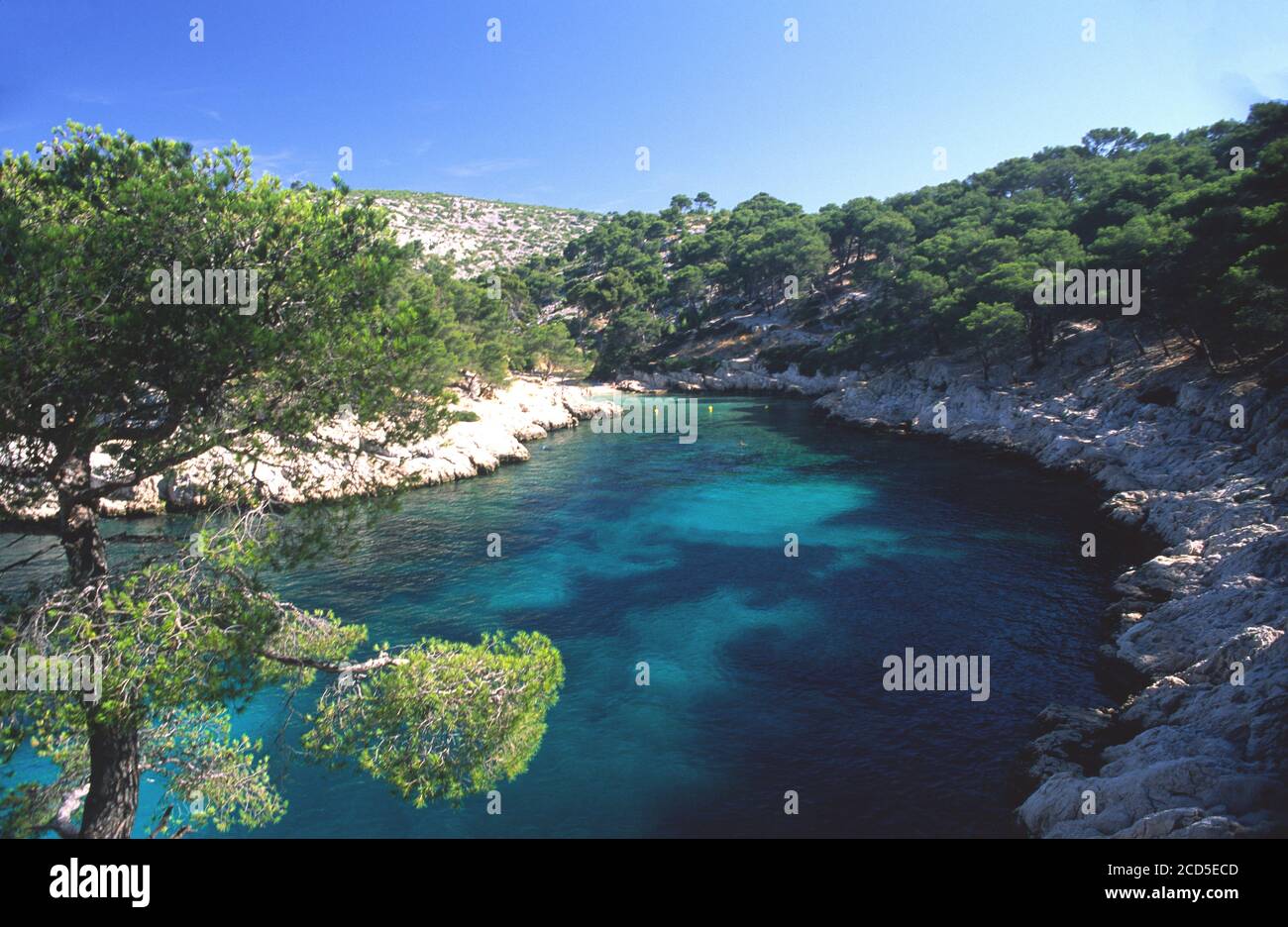 Calanque of Port Pin Cassis Stock Photo - Alamy