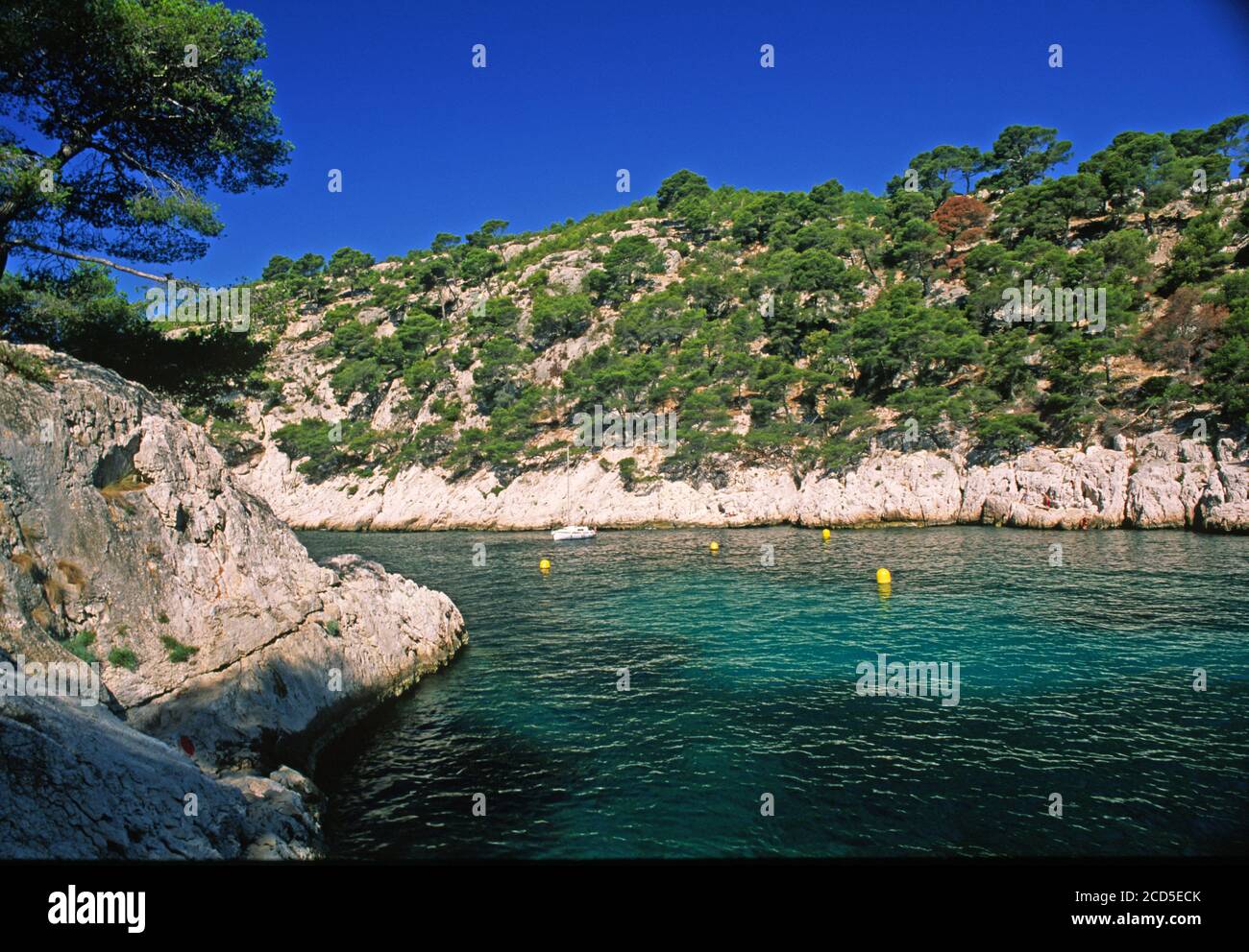 Calanque of Port Pin Cassis Stock Photo - Alamy