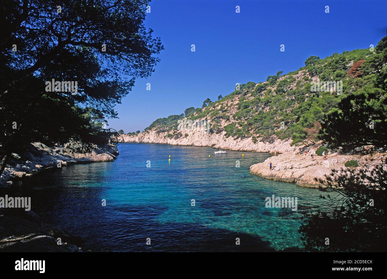 Calanque of Port Pin Cassis Stock Photo - Alamy