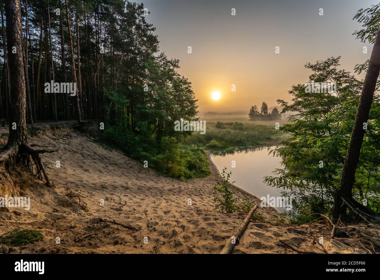 The mysterious river Grabia on a summer day, Poland Stock Photo - Alamy