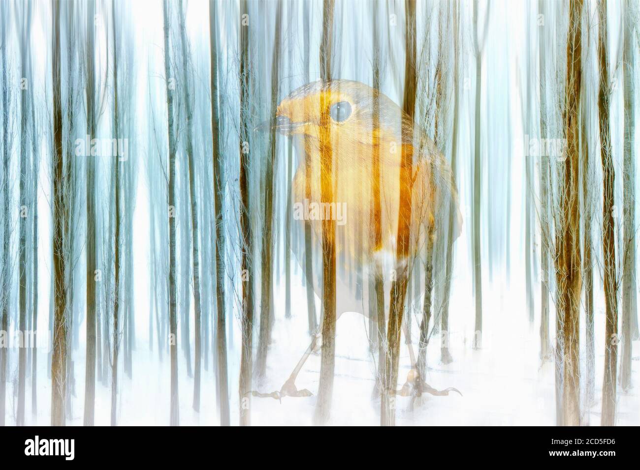 Surreal picture of nature. Abstract images. Portrait of bird Stock ...