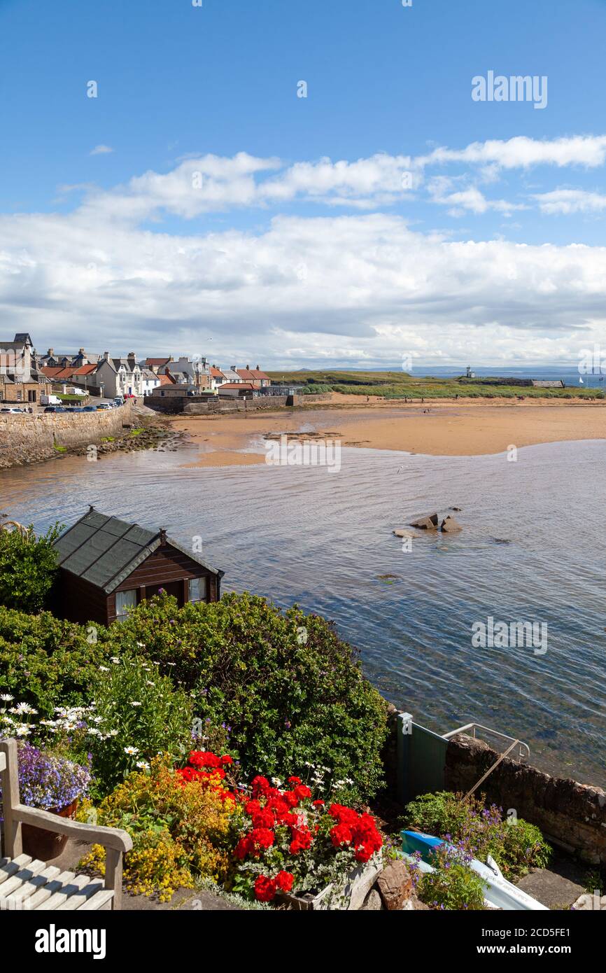 Looking over gardens in Elie towards the beach and the Ship Inn pub ...