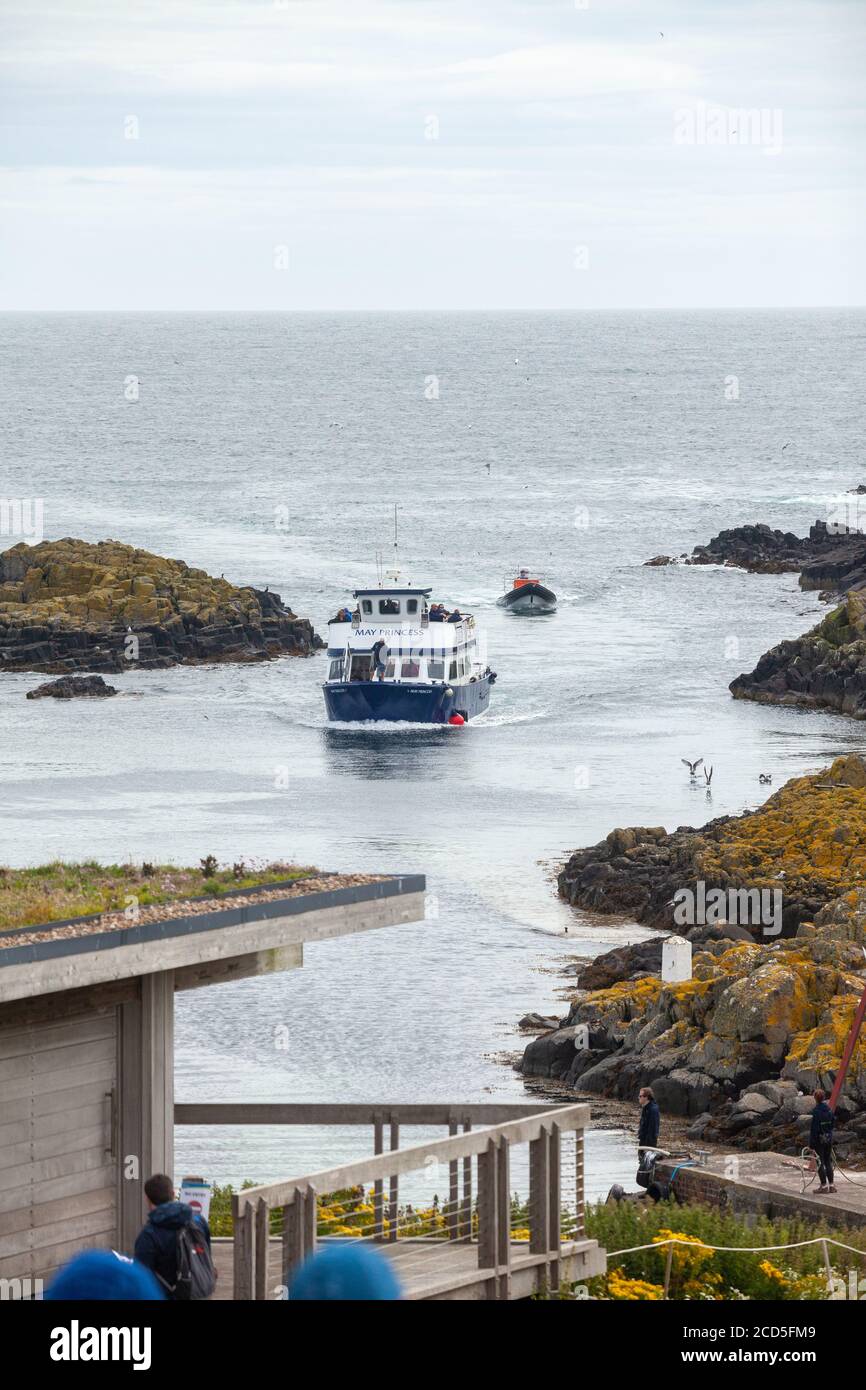 Isle of may boat trips hi-res stock photography and images - Alamy