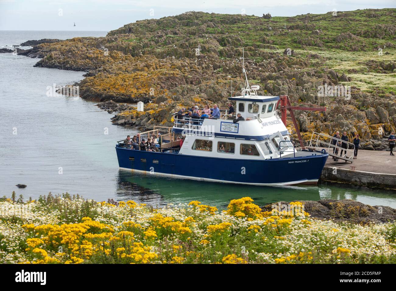 Isle of may boat trips hi-res stock photography and images - Alamy