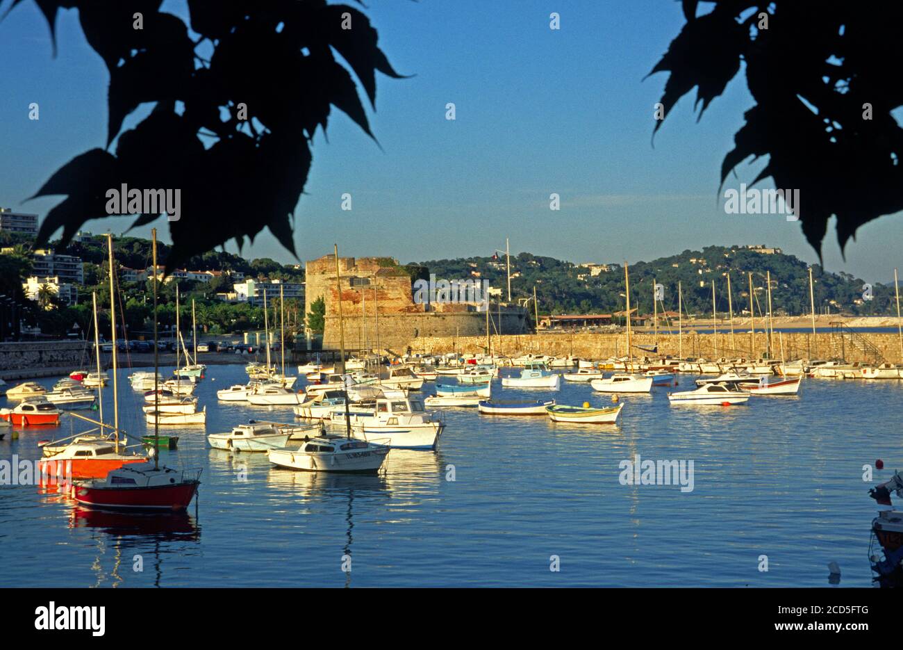 Mourillon Toulon High Resolution Stock Photography and Images - Alamy