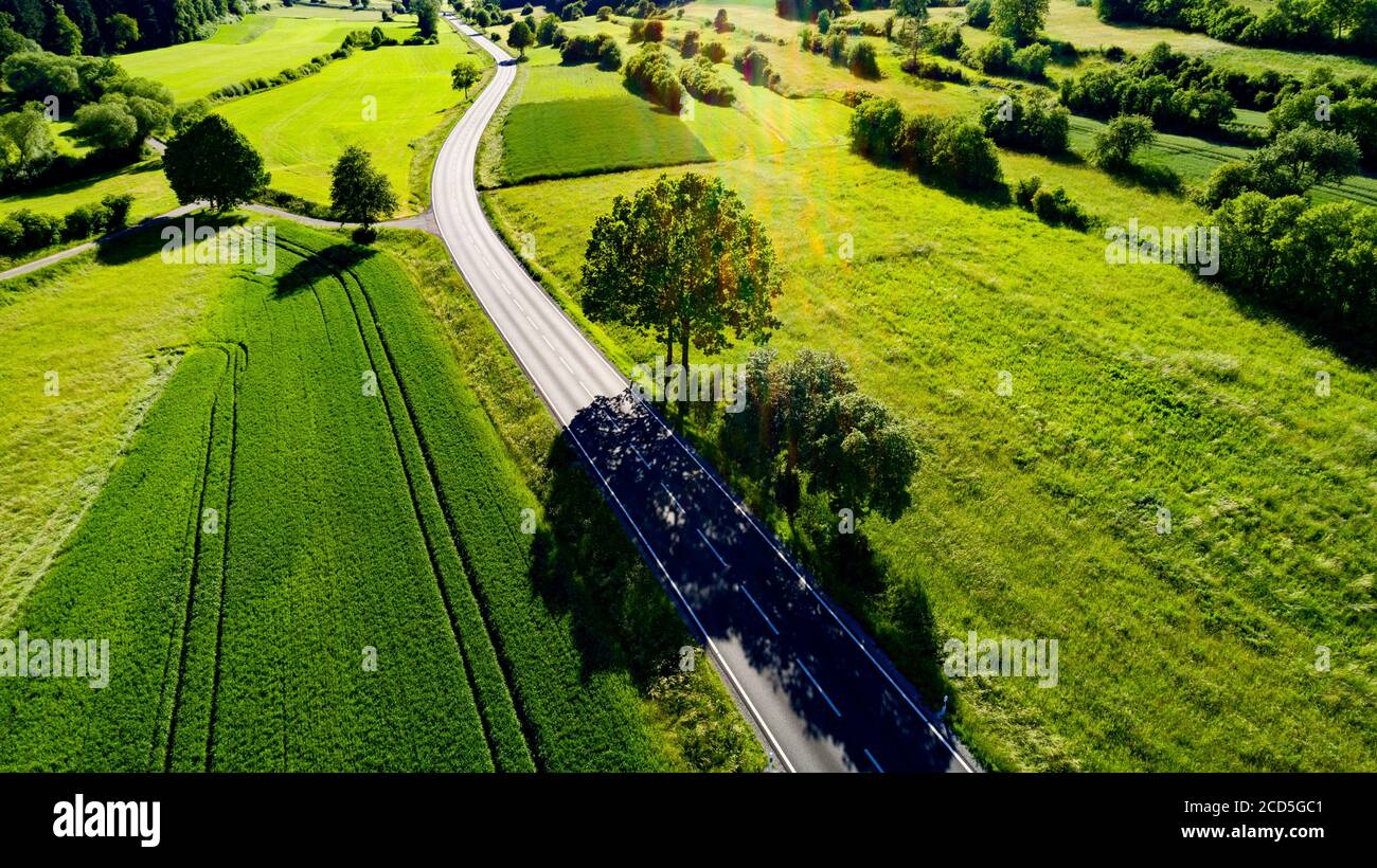 Tree and road hi-res stock photography and images - Alamy