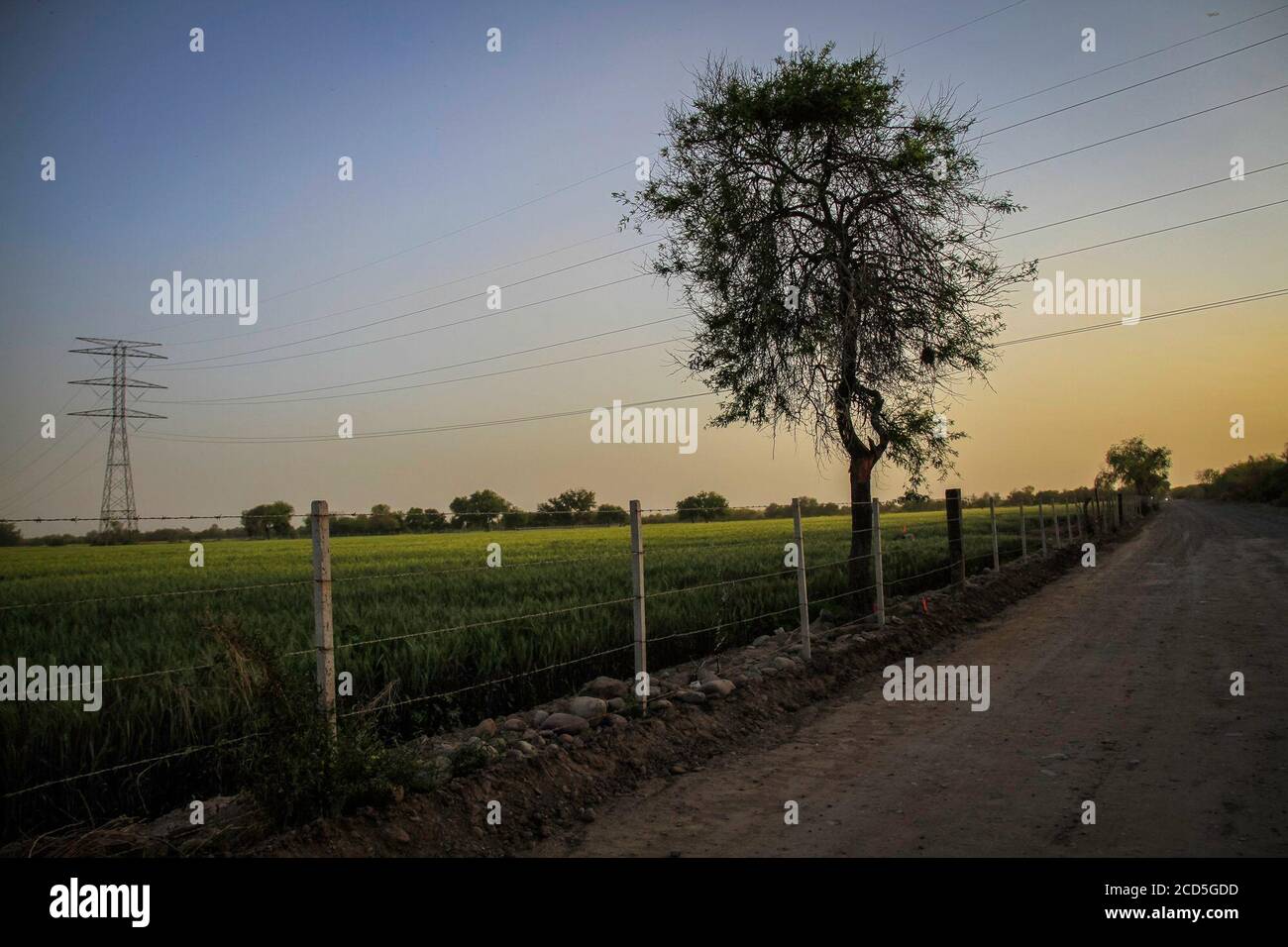 Acricola hi-res stock photography and images - Alamy