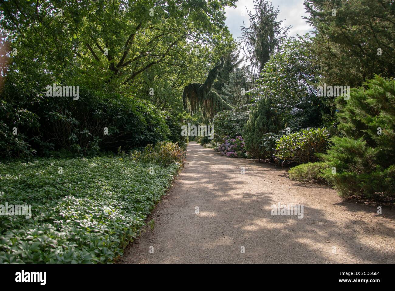 Beautiful pathway in a park Stock Photo - Alamy