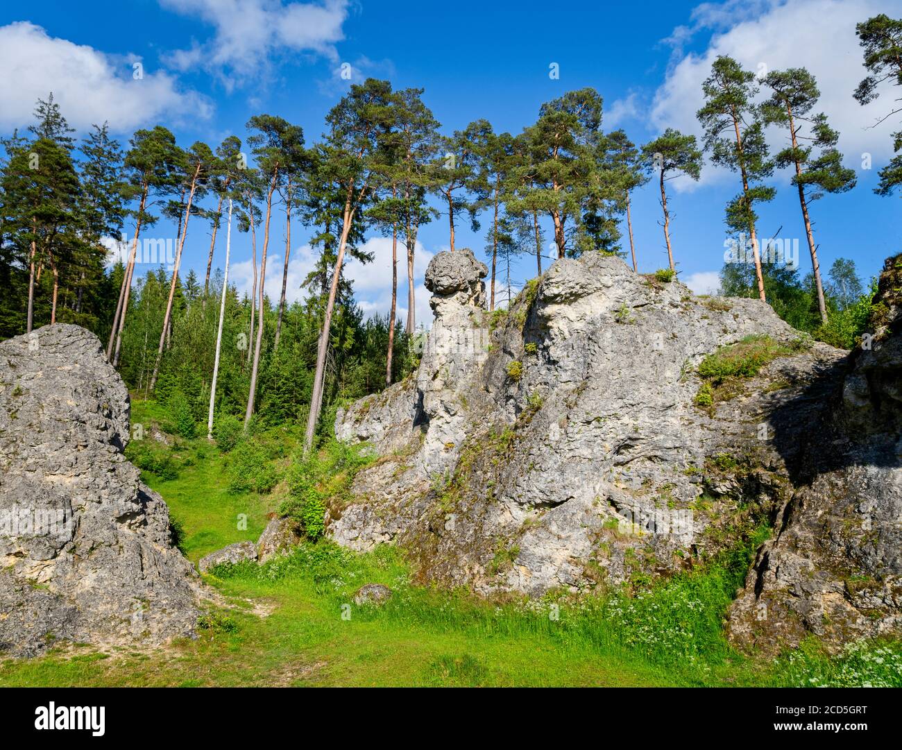 Rock rocks forest hi-res stock photography and images - Alamy