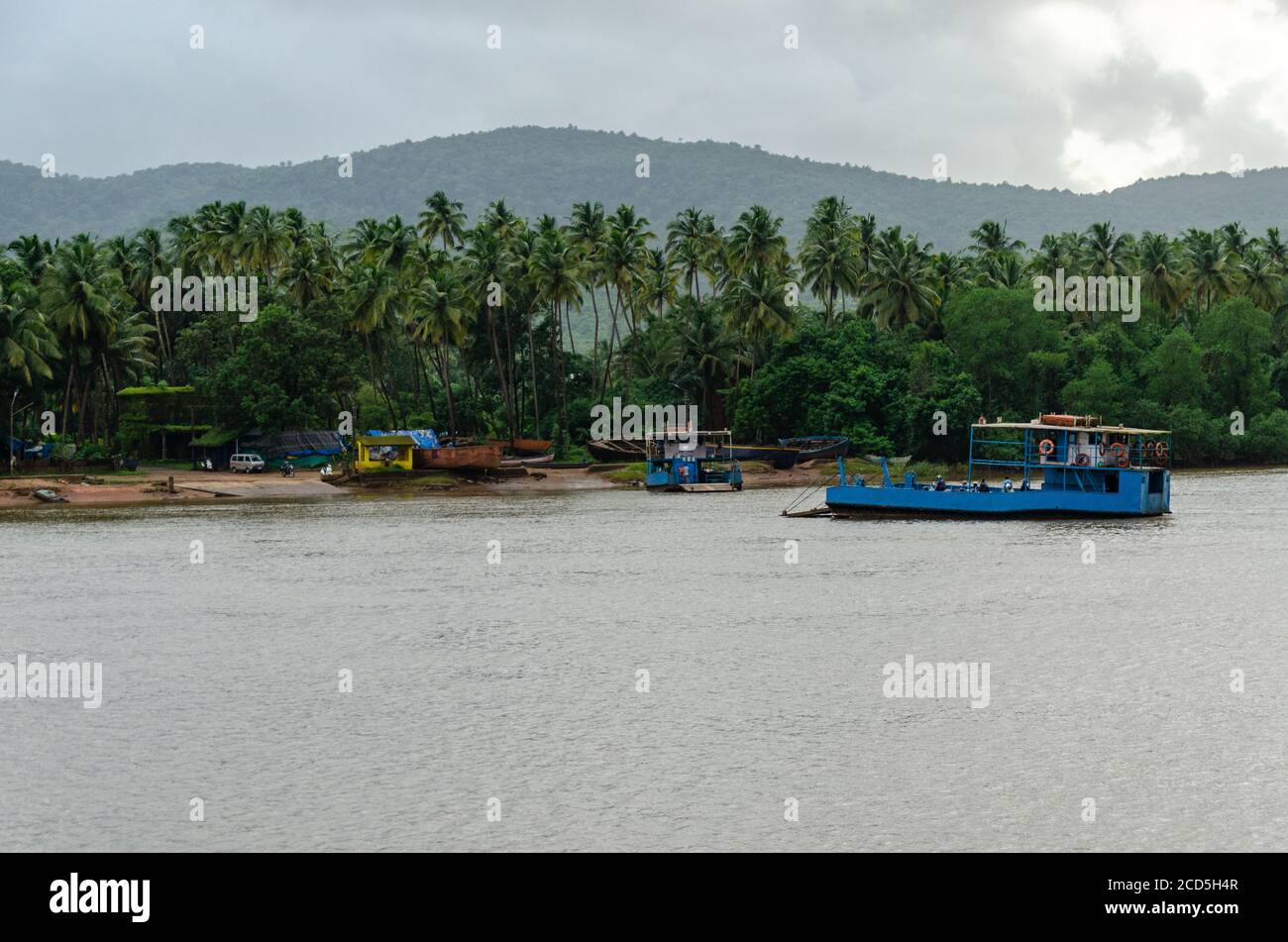 Goa maina hi-res stock photography and images - Alamy