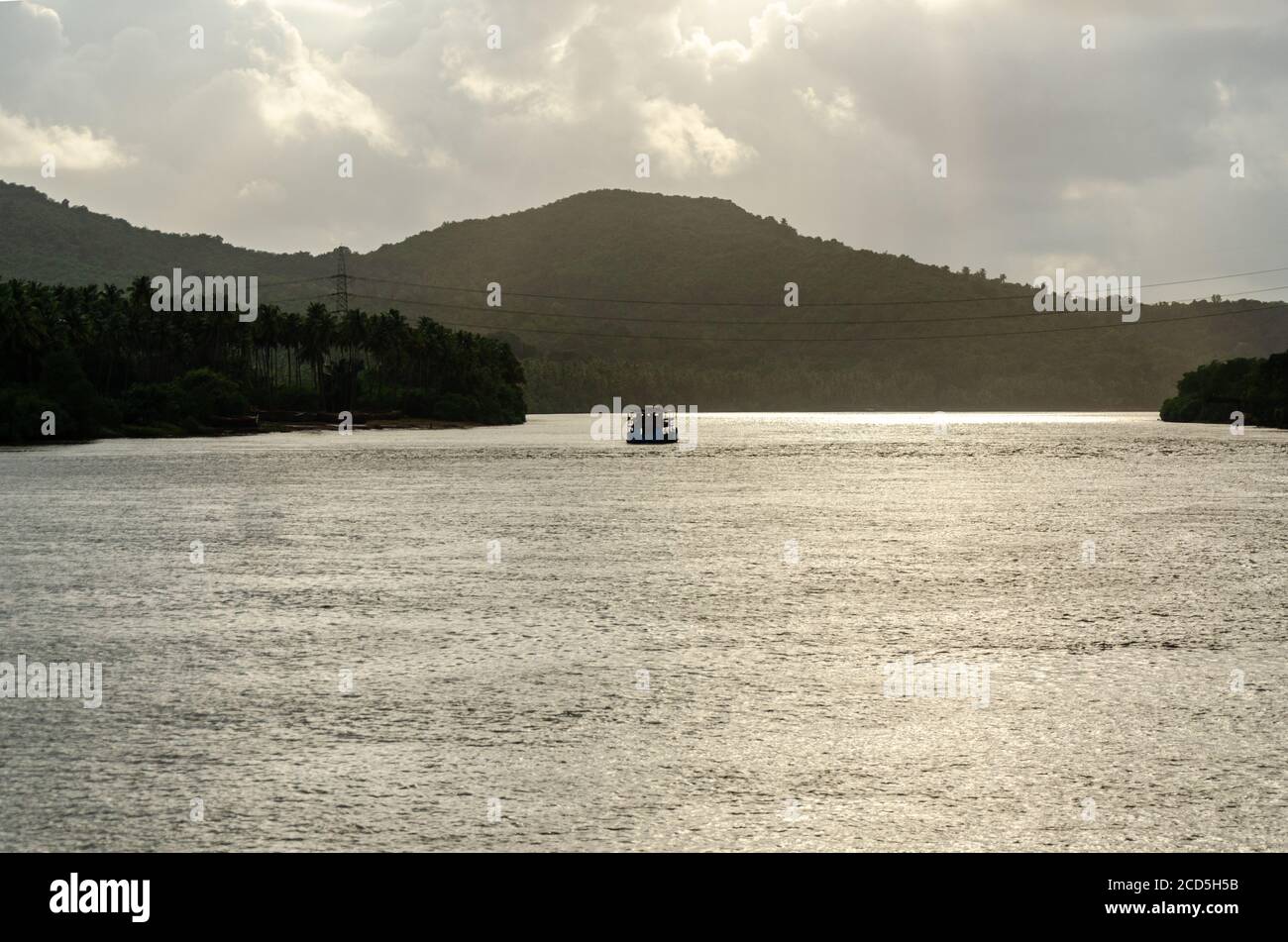 Goa maina hi-res stock photography and images - Alamy