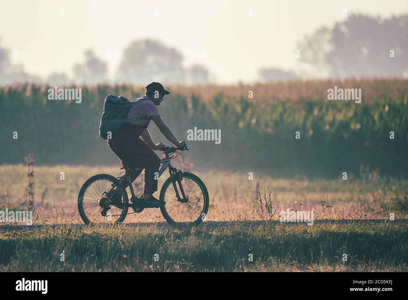 a cyclist in the shade of the sunrise Stock Photo - Alamy