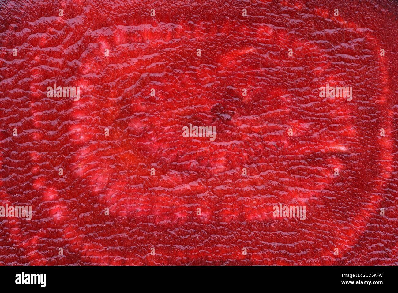 Top view beetroot slice close up. Vegetable background Stock Photo - Alamy