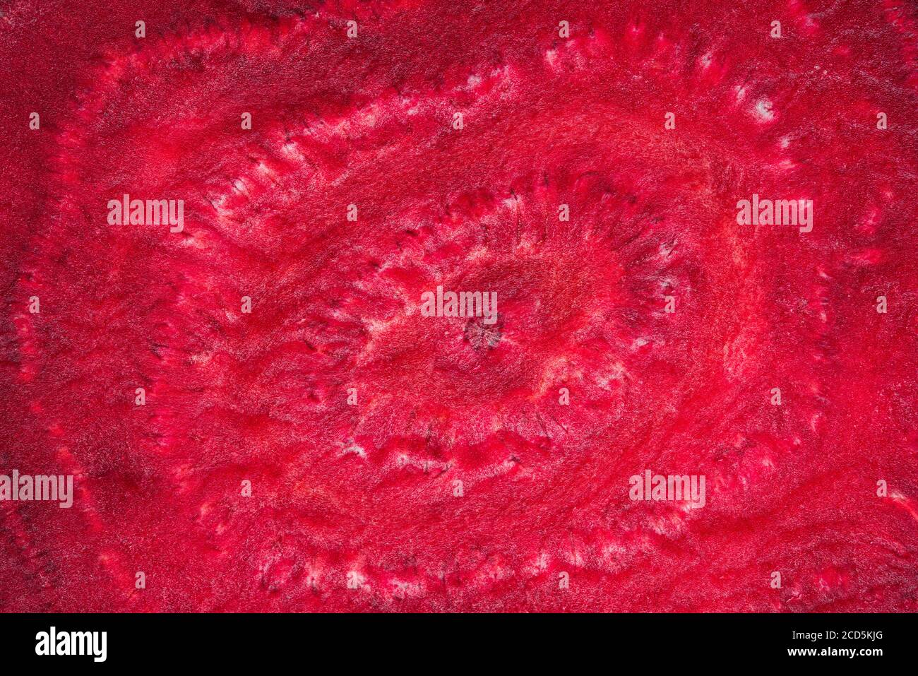 Top view beetroot slice close up. Vegetable background Stock Photo - Alamy