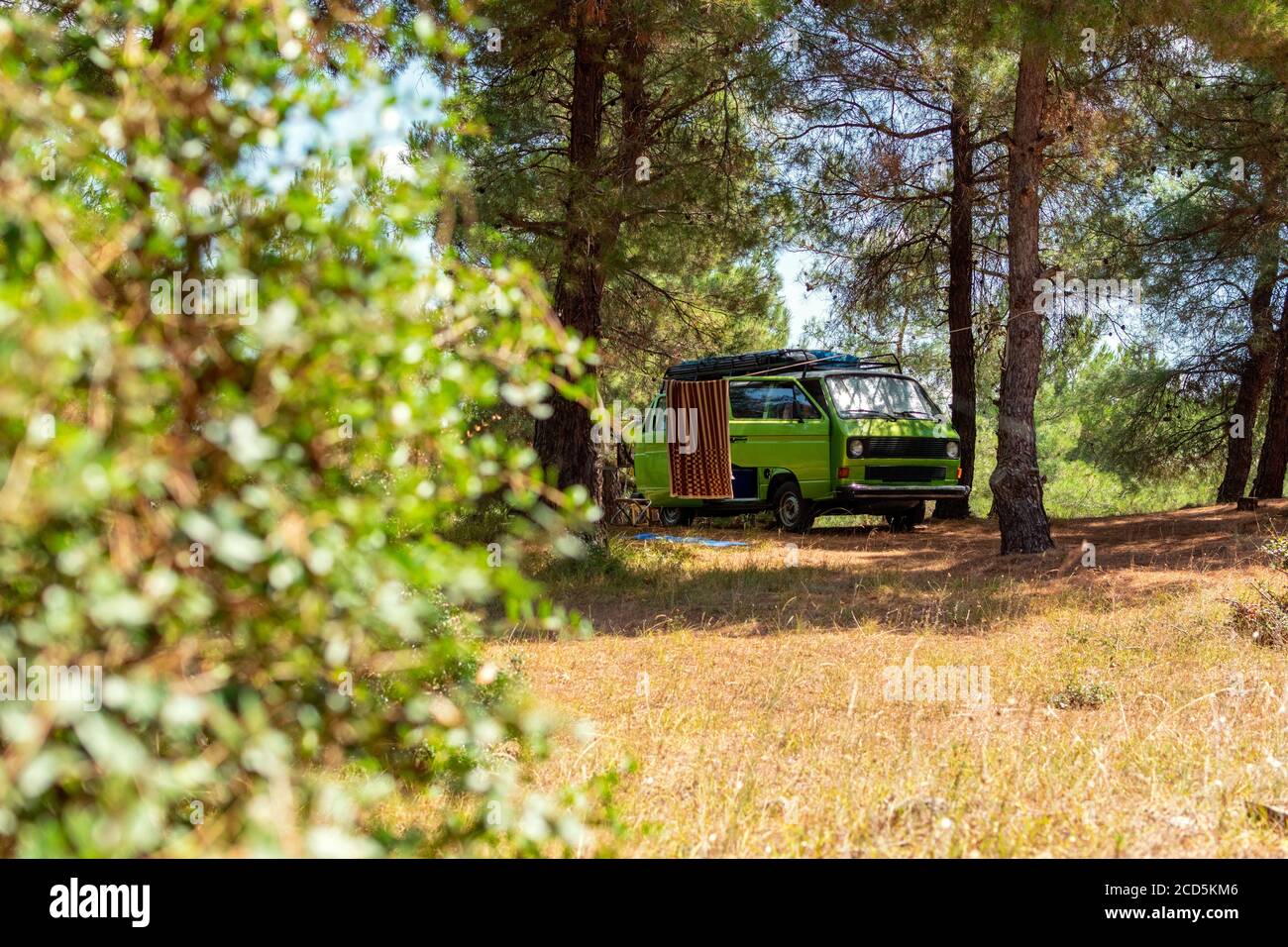 Vintage camper van parked in the pine tree forest Stock Photo - Alamy