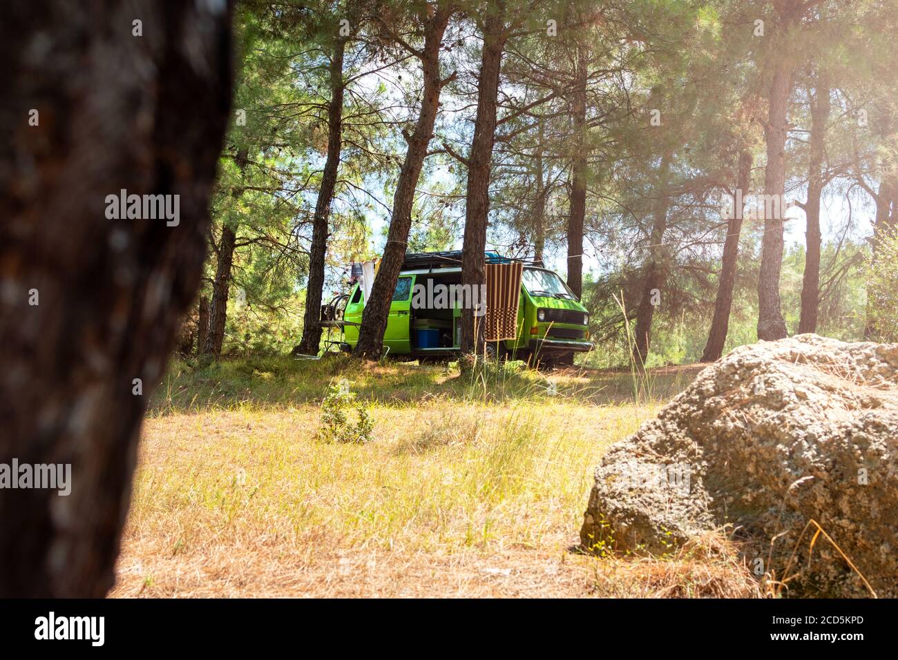 Vintage camper van parked in the pine tree forest Stock Photo - Alamy