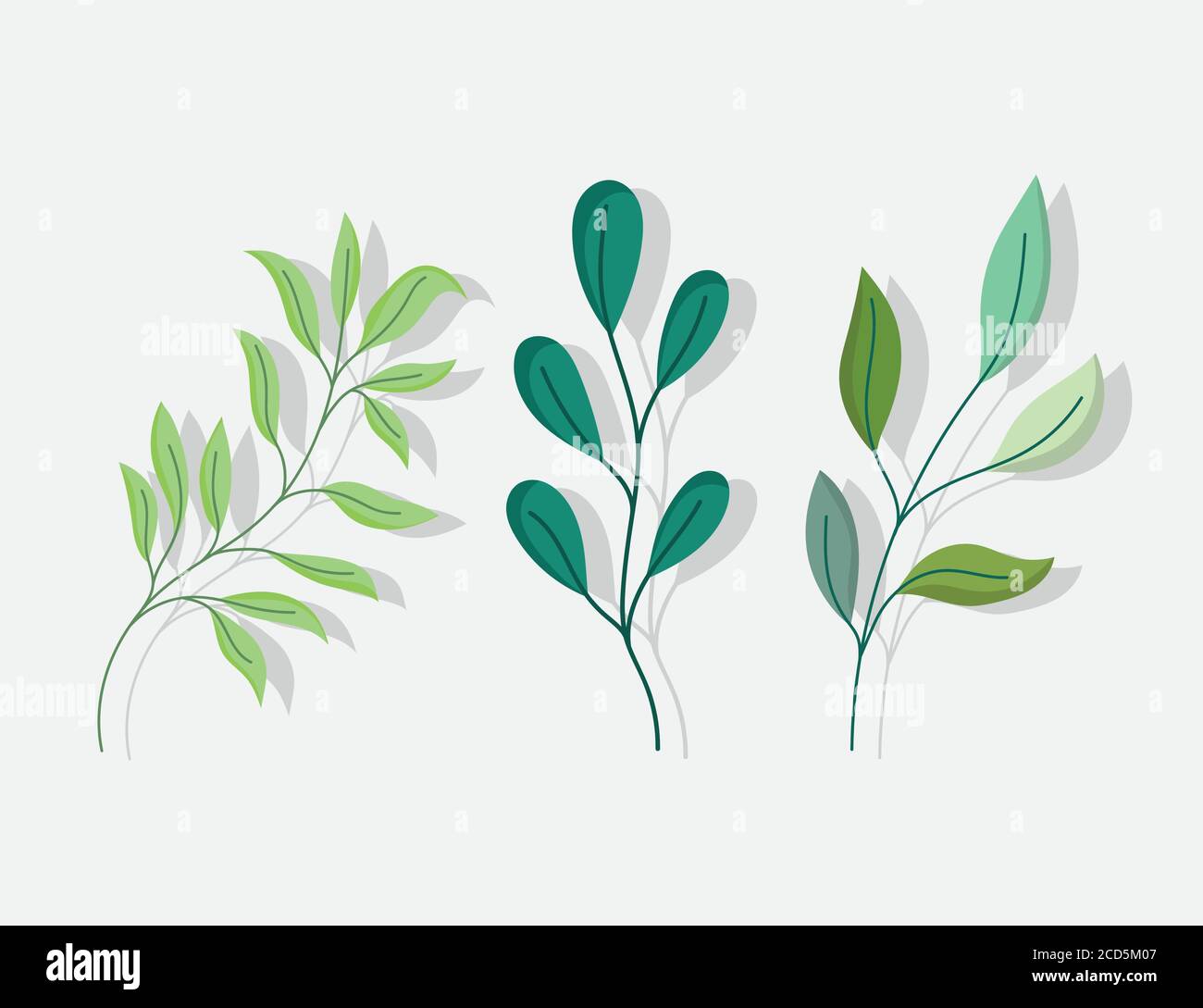 foliage branches leaves nature botanical icons vector design and illustration Stock Vector Image ...