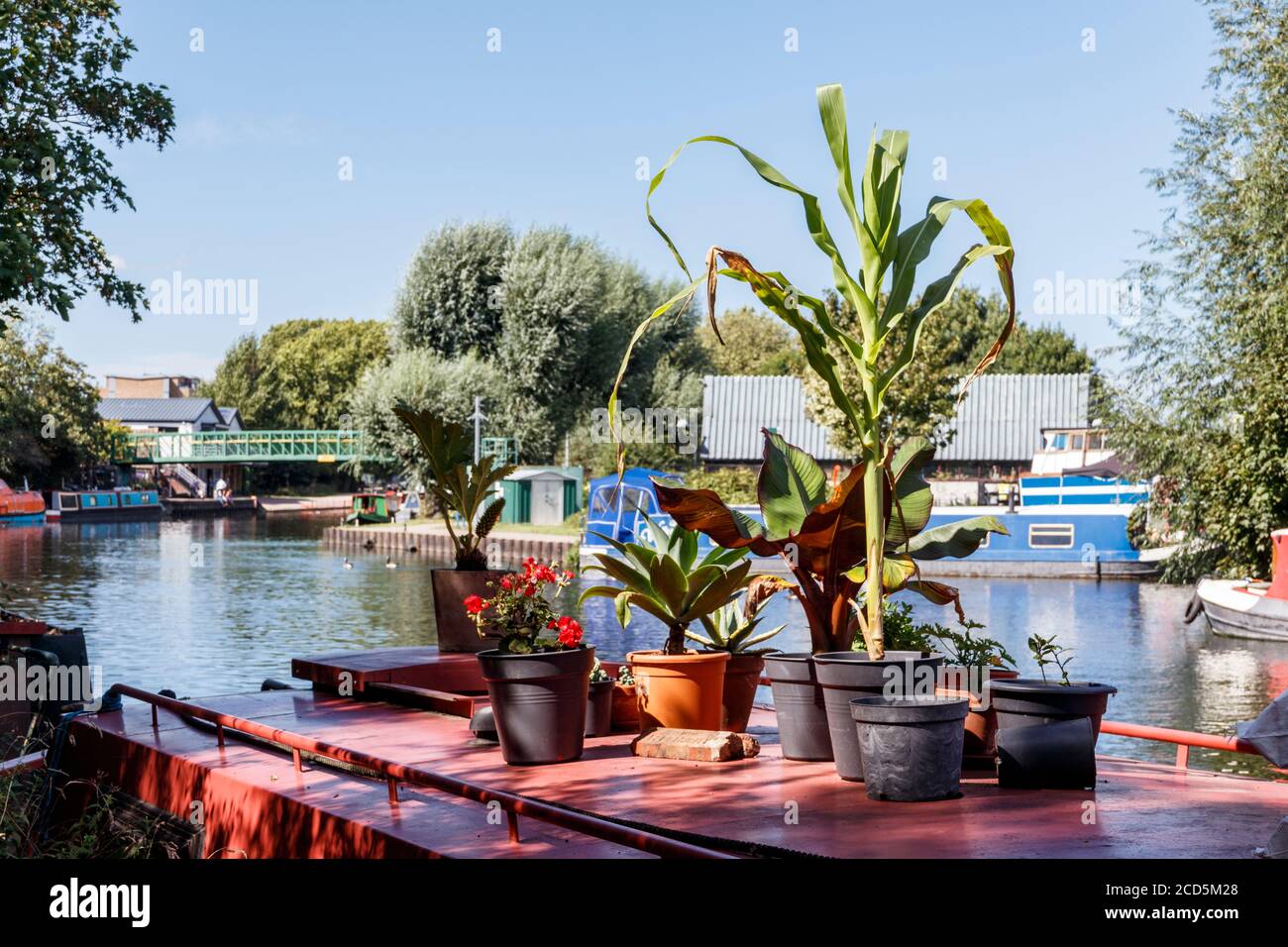 Springfield park london hi-res stock photography and images - Alamy