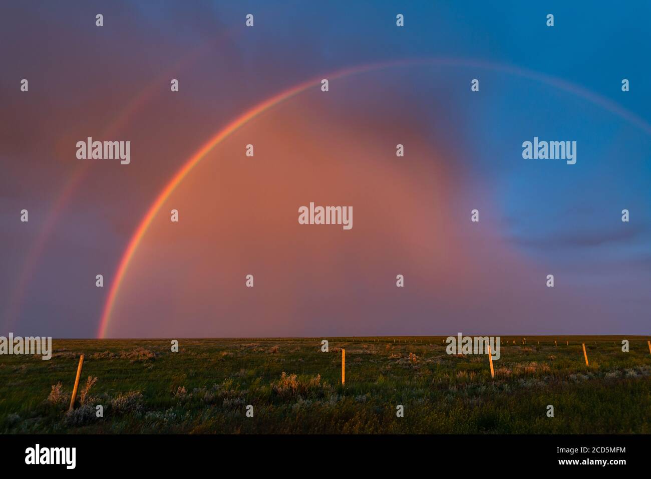 Spring storm at night Stock Photo - Alamy