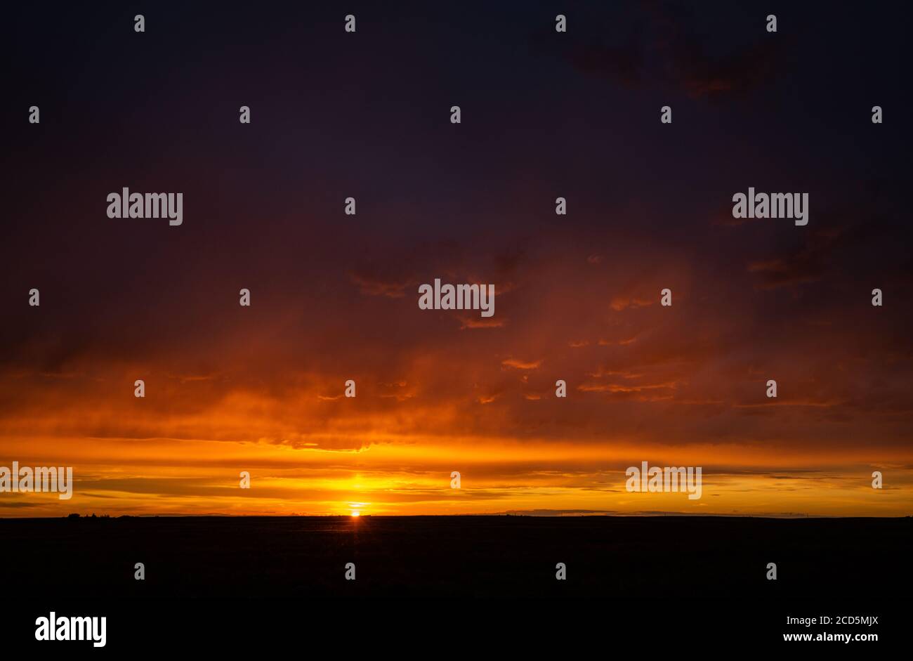 Spring storm at night Stock Photo - Alamy