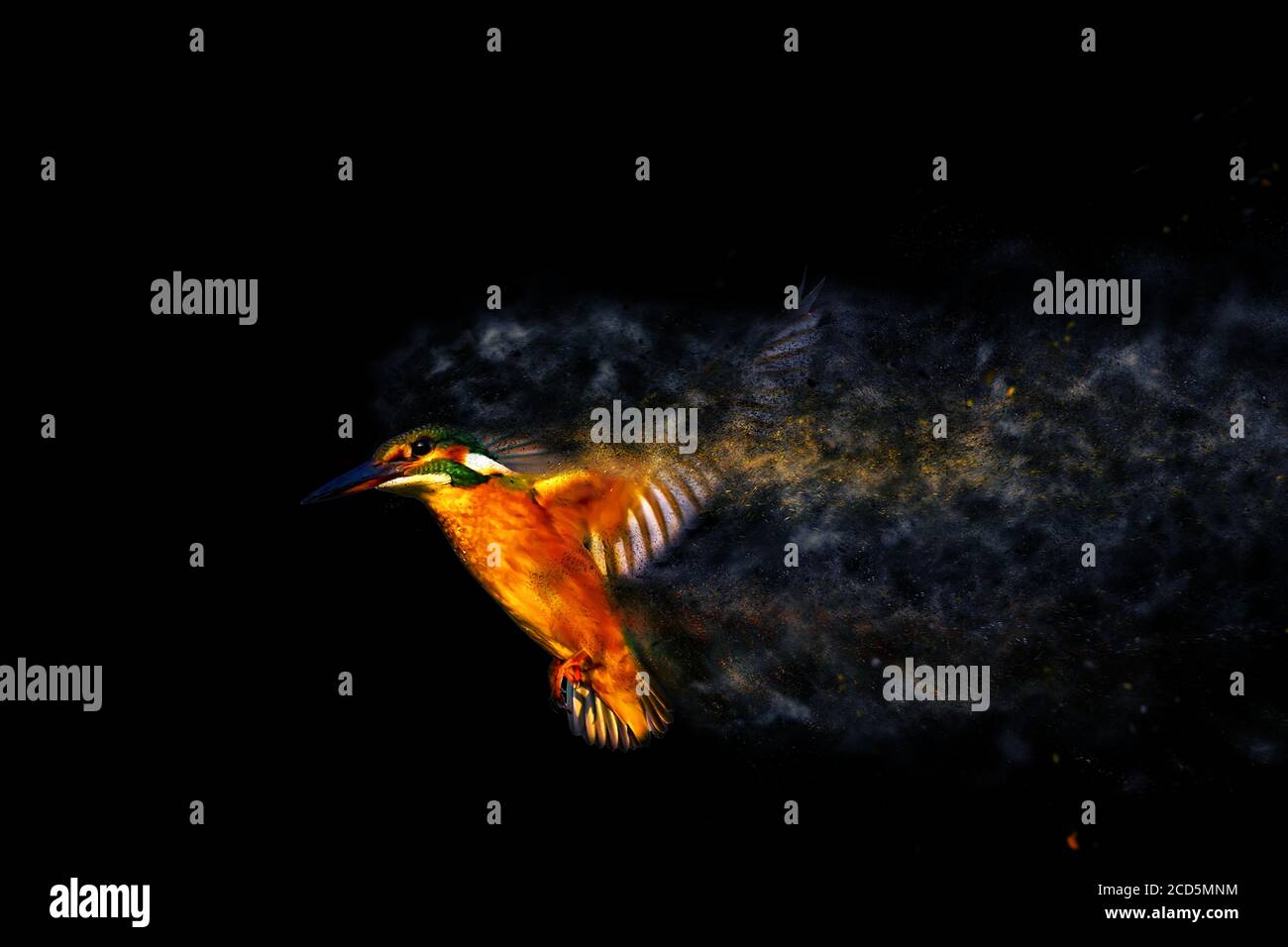 Flying bird. Dispersion, splatter effect. Black background Stock Photo ...
