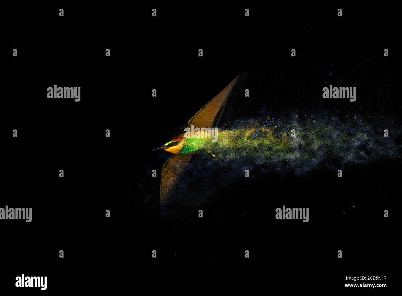 Flying bird. Dispersion, splatter effect. Black background Stock Photo ...