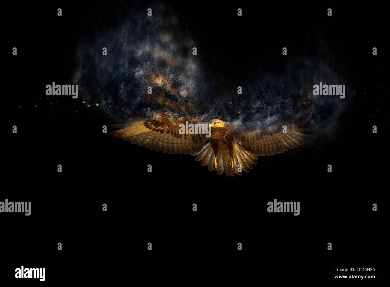 Flying bird. Dispersion, splatter effect. Black background Stock Photo ...