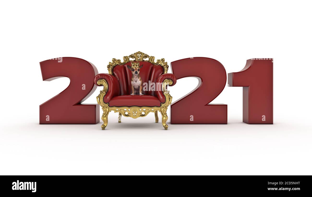 2021 in history Cut Out Stock Images & Pictures - Alamy