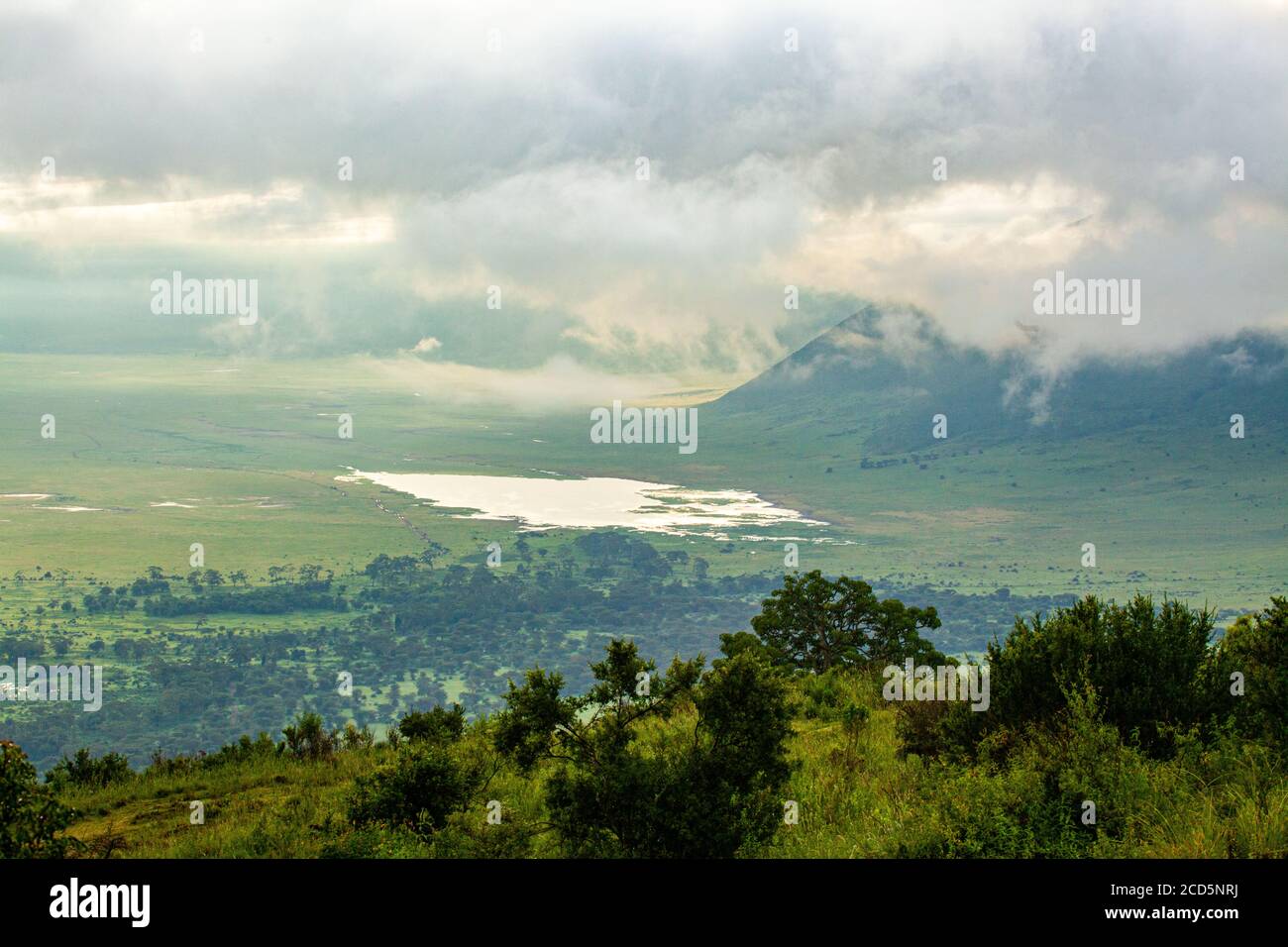 Panoramic view of crater and rim of Ngorongoro Conservation Area ...