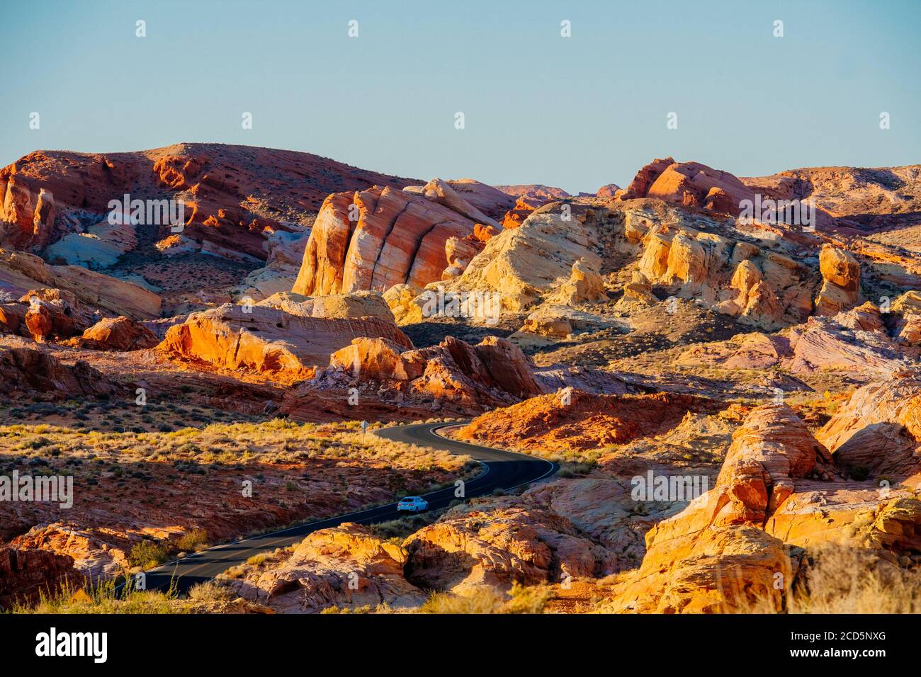 Aztec Sandstone, State Park, Mohave Desert, Overton, Nevada, USA Stock ...