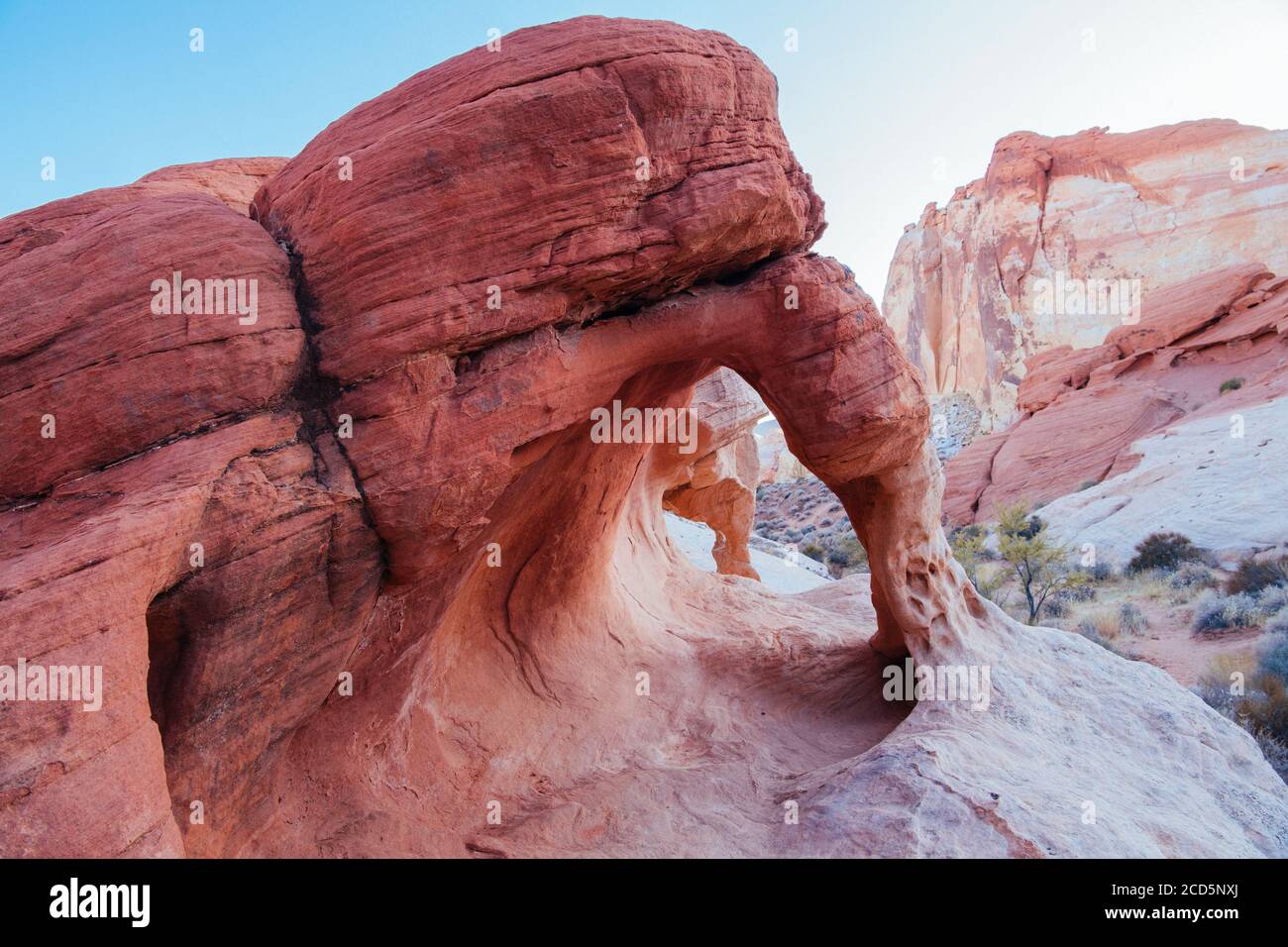 Aztec Sandstone, State Park, Mohave Desert, Overton, Nevada, USA Stock ...