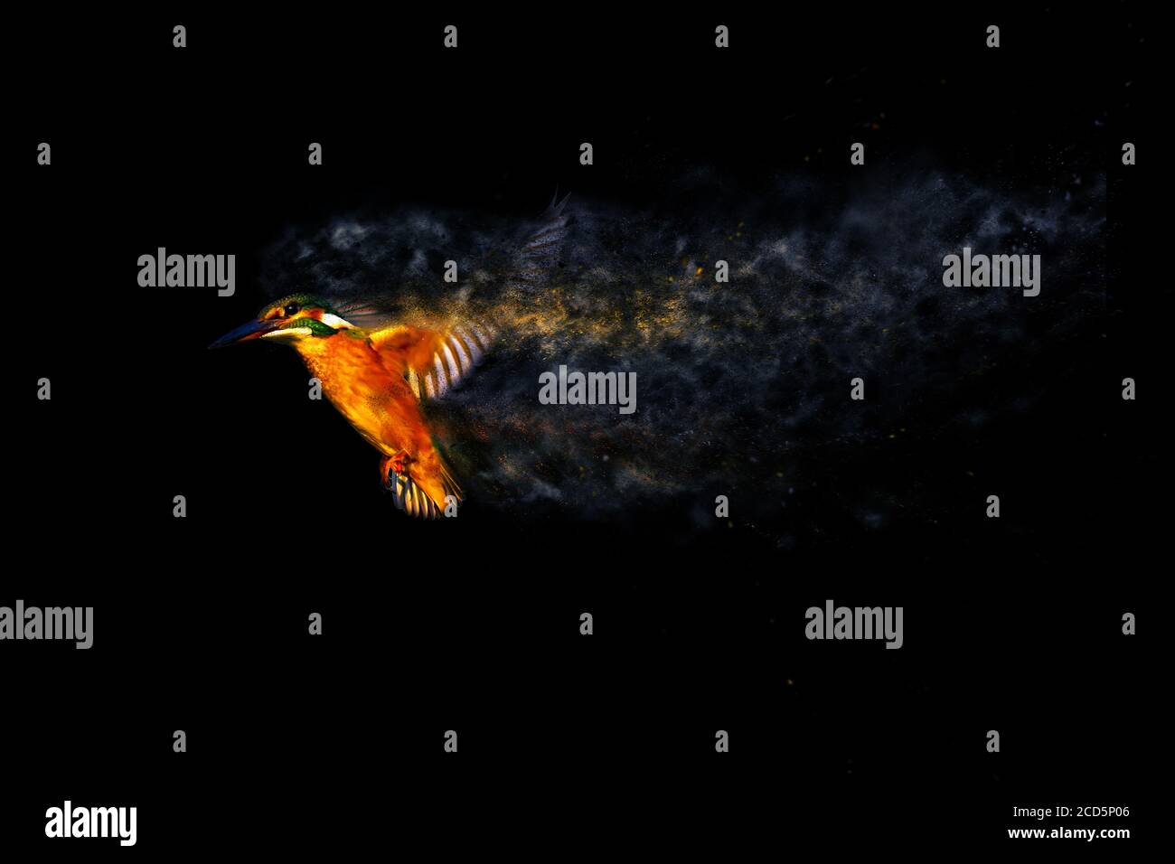 Flying bird. Dispersion, splatter effect. Black background Stock Photo ...