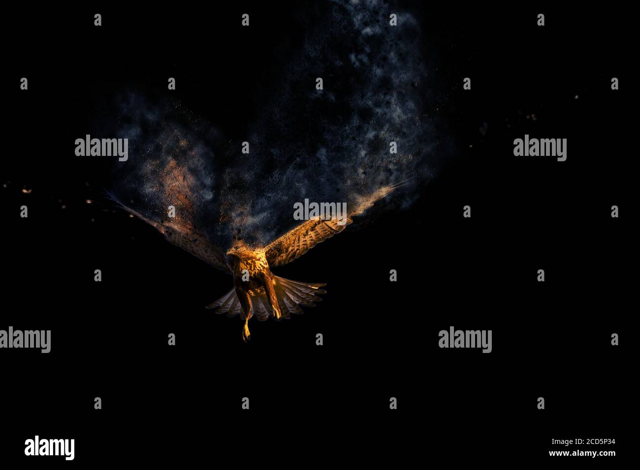 Flying bird. Dispersion, splatter effect. Black background Stock Photo ...